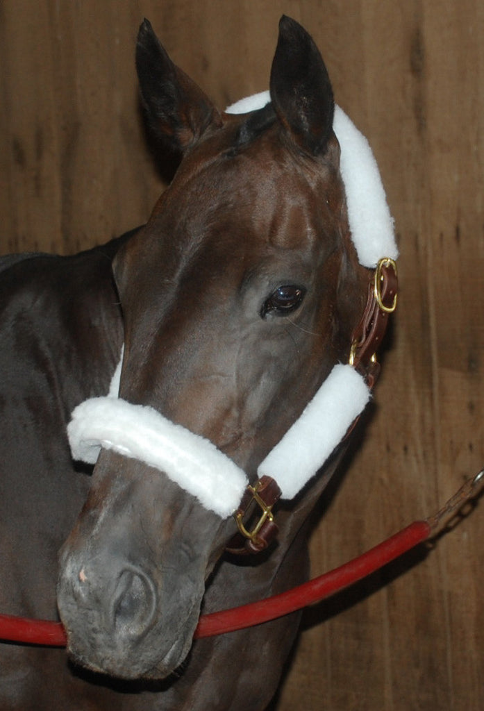 Halter Fleece Sets – Equine Textiles